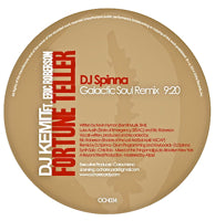 DJ KEMIT / FORTUNE TELLER / TRANSFORM (DJ SPINNA / QUENTIN HARRIS REMI