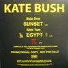 KATE BUSH / SUNSET